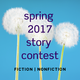 Spring 2017 Story Contest | Narrative Magazine
