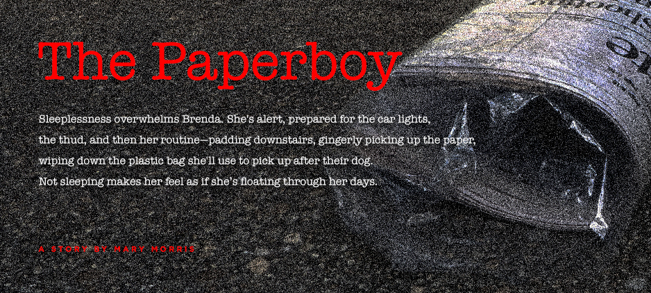 The Paperboy by Mary Morris