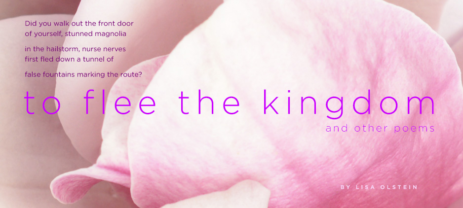 To Flee the Kingdom and Other Poems by Lisa Olstein
