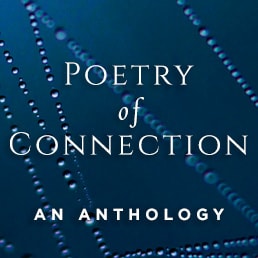 Poetry of Connection | Narrative Magazine